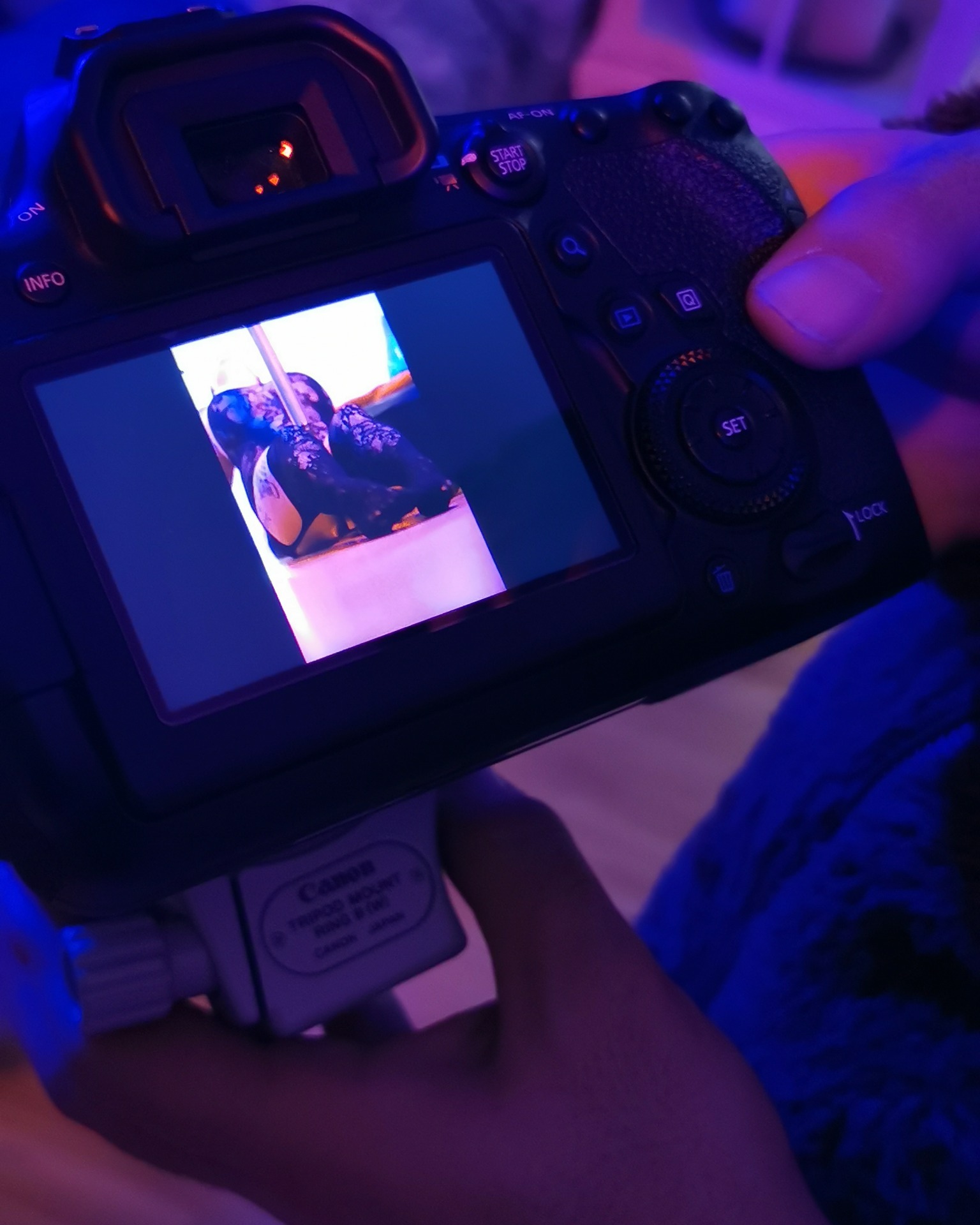 Fotogalleri :: Landoria